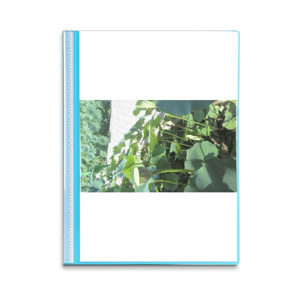 Lotus Lake Pool Art Deco Fashion Book Sheet Protectors Portfolio Binder ...