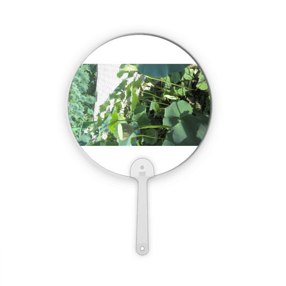 Lotus Lake Pool Art Deco Fashion Plastic Round Handheld Fan Decorations ...