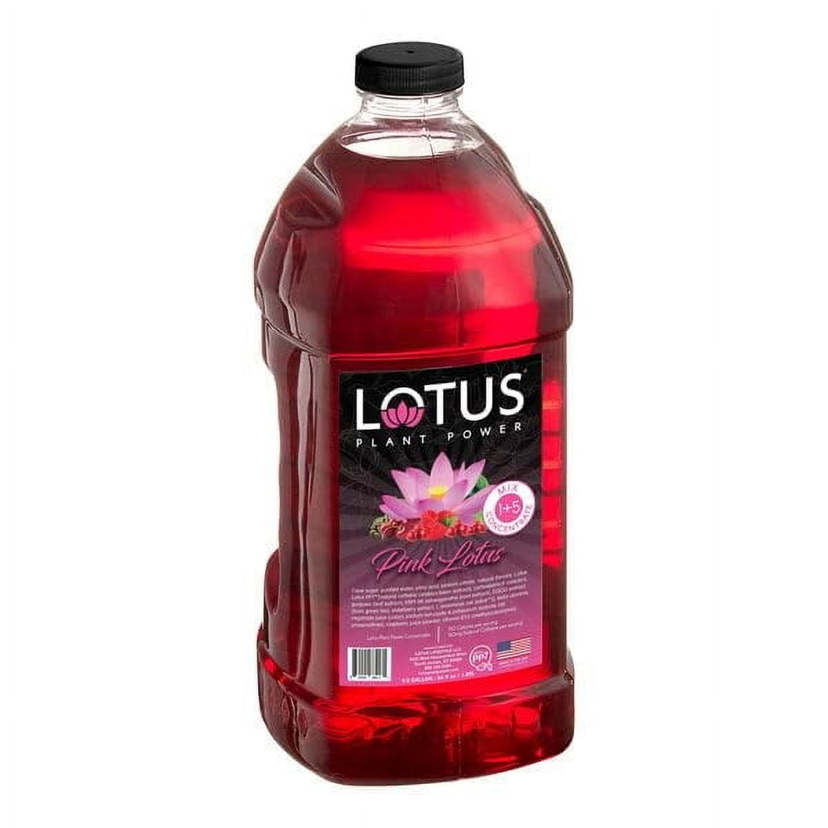 Lotus Plant Power Pink Energy Concentrate, 5:1 Formula, 64 fl. oz, Tart ...