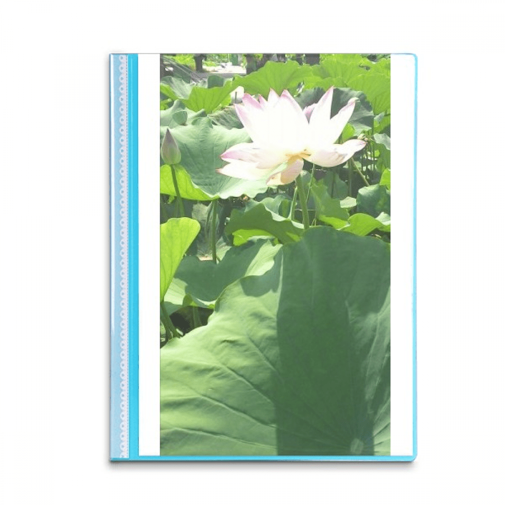 Lotus Pond White Art Deco Fashion Book Sheet Protectors Portfolio ...