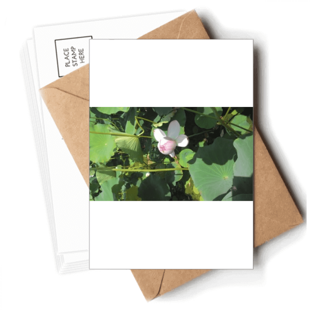 Lotus Summer Art Deco Fashion Postcards Envelopes Blank Note Cards ...