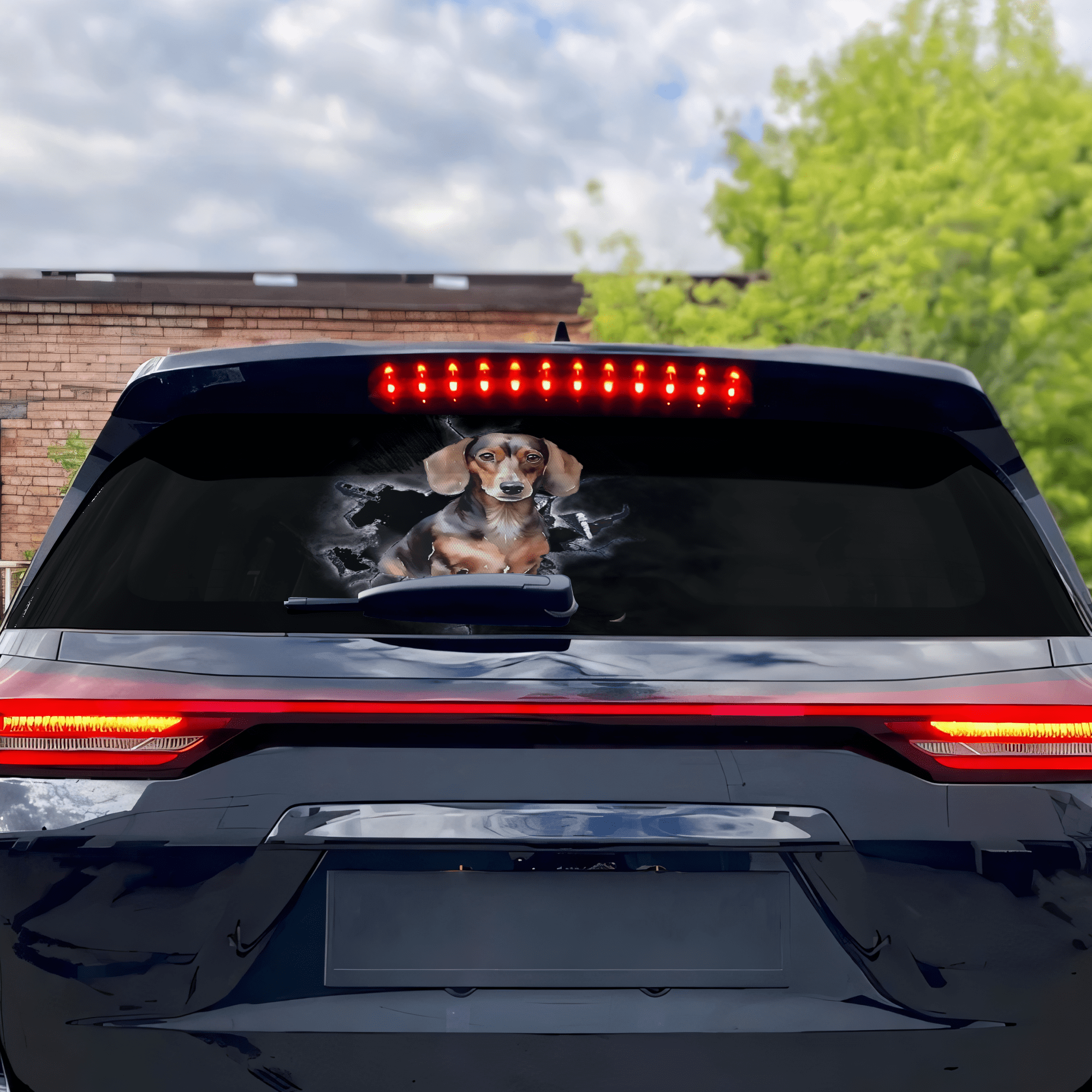 Lotusprinthandmade Dachshund Dog Rear Window Car Decal 3 Sizes (22x65 ...