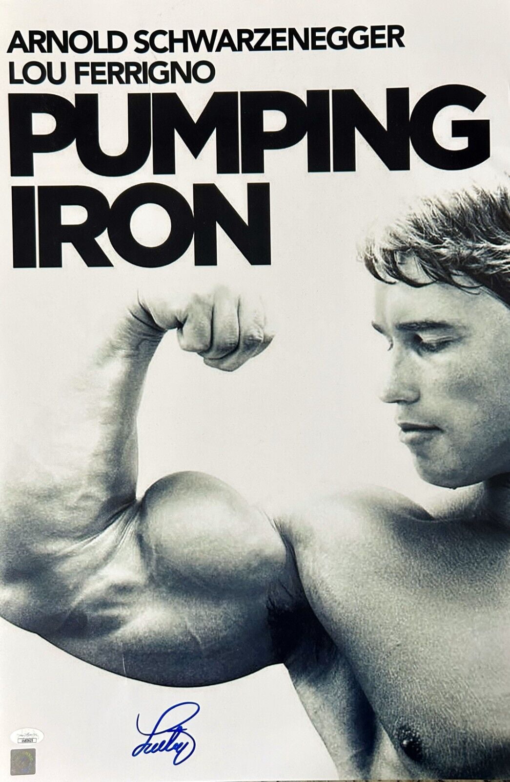 Lou Ferrigno Signed Autographed 16x24 Photo JSA Authenticated - Walmart.com