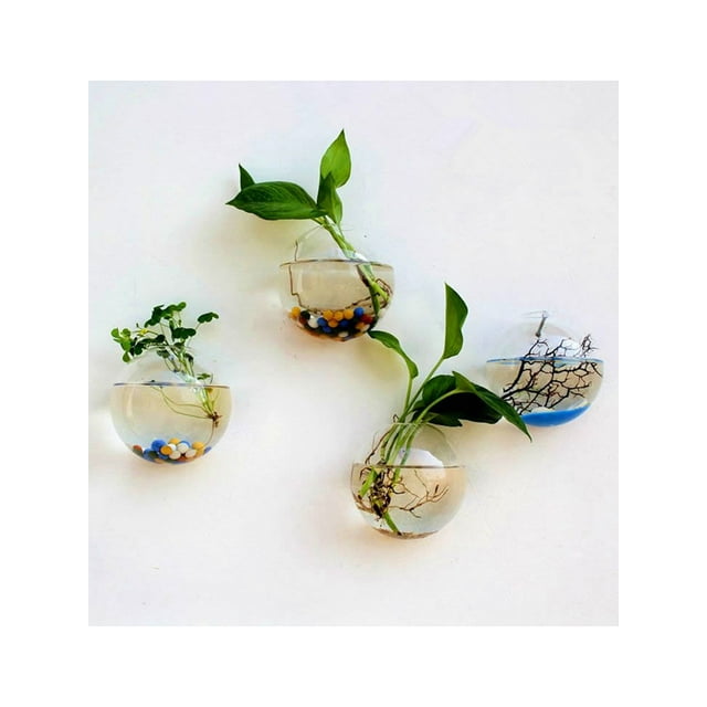 Louatui Glass Planters Wall Hanging Planters Round Glass Air Plant Pots ...