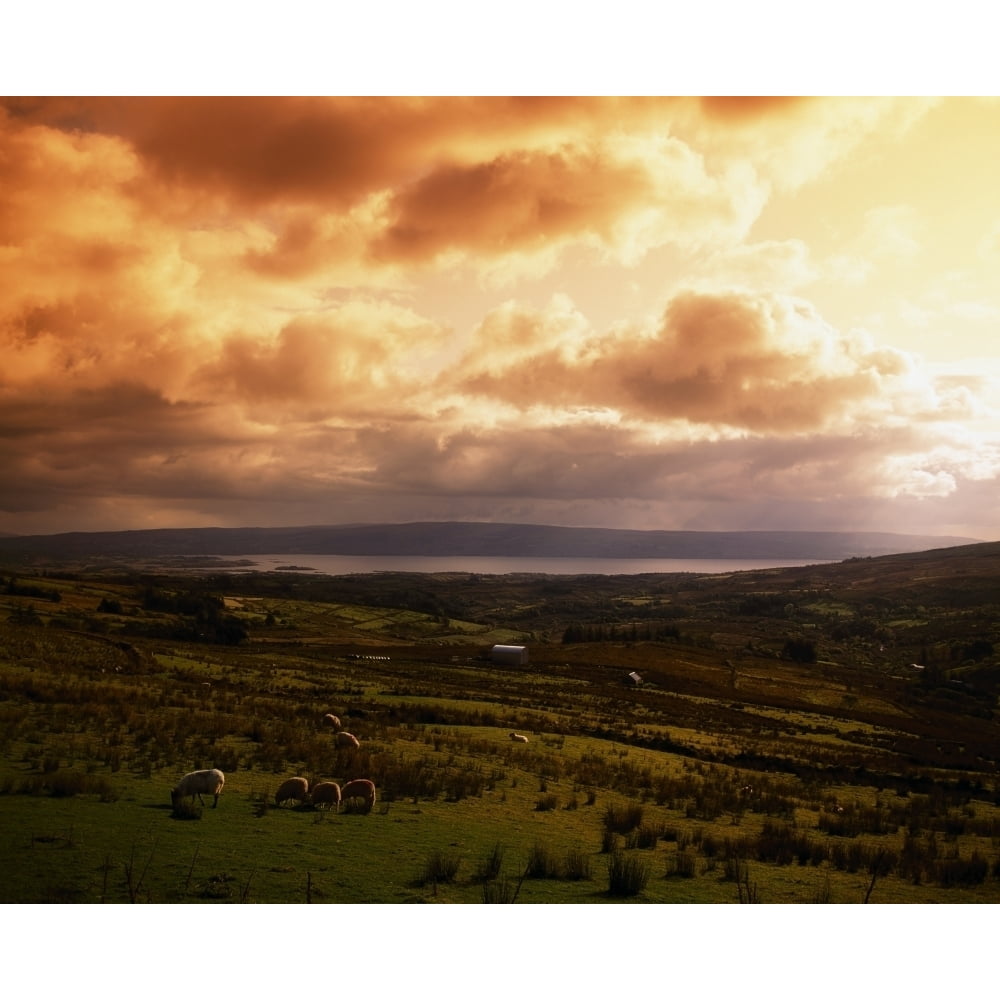 Lough Allen County Leitrim Ireland From The Iron Mountains by The Irish ...