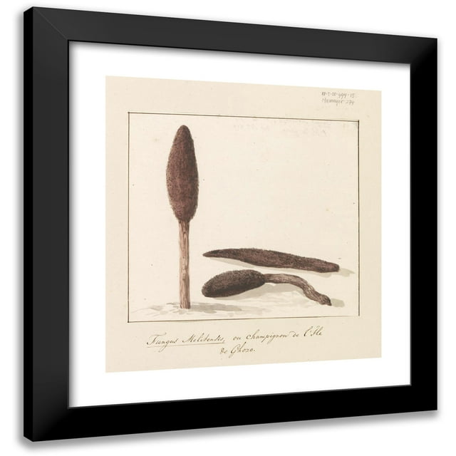 Louis Ducros 12x13 Black Modern Framed Museum Art Print Titled - Rare ...