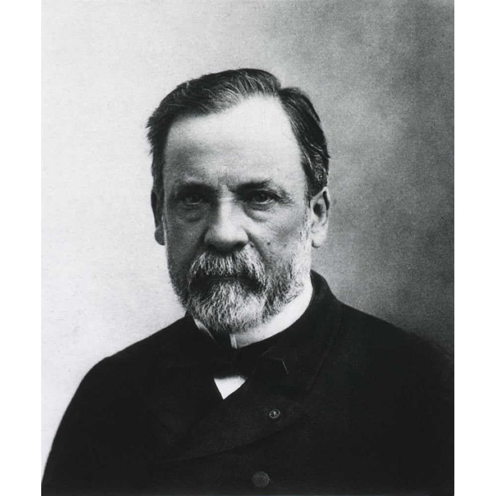 Louis Pasteur History Poster Print - Walmart.com