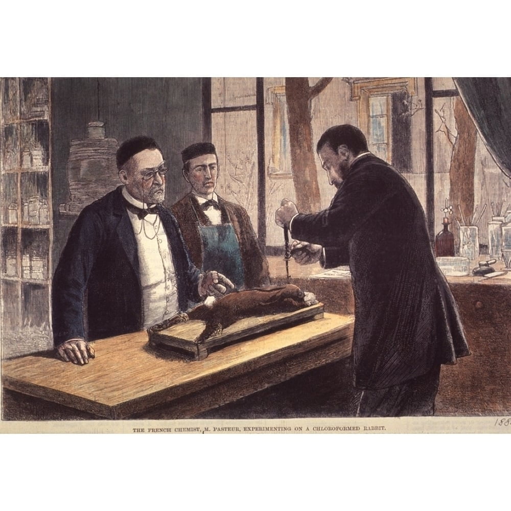 Louis Pasteur History Poster Print - Walmart.com