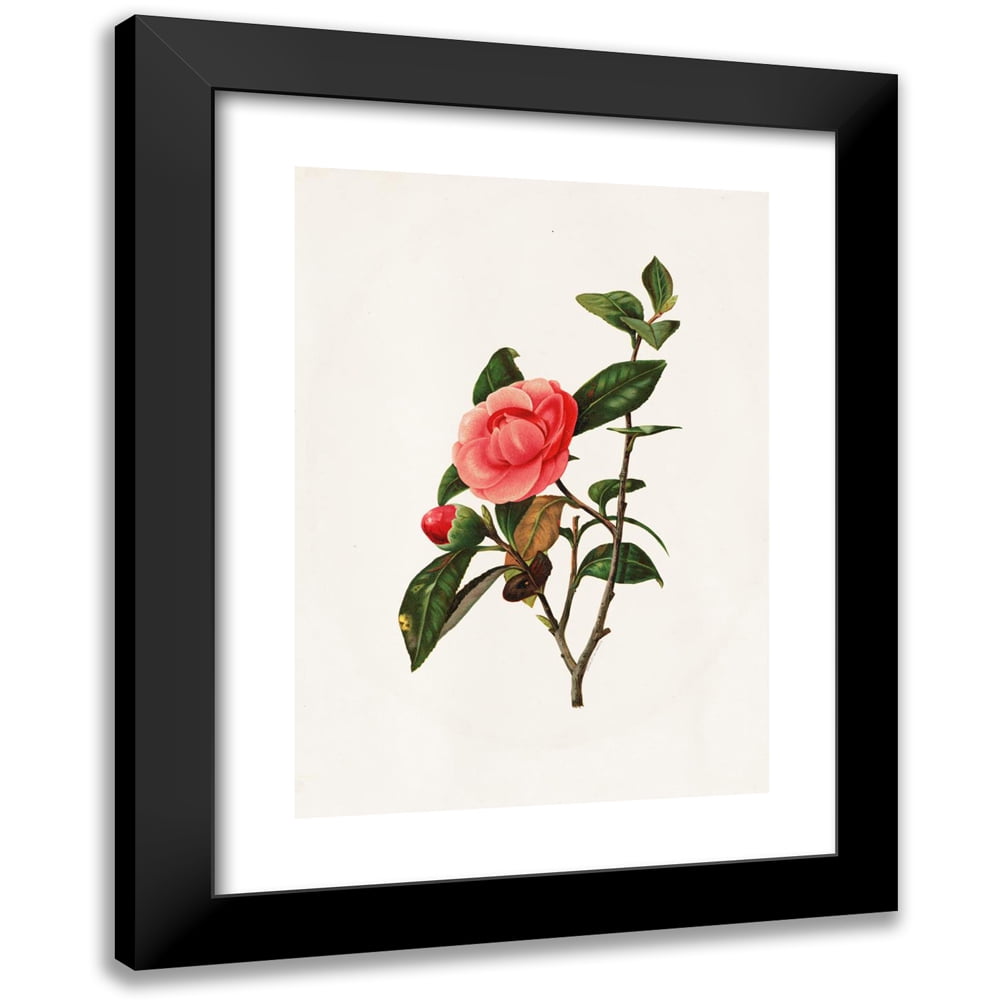 Louis Prang 14x18 Black Modern Framed Museum Art Print Titled ...