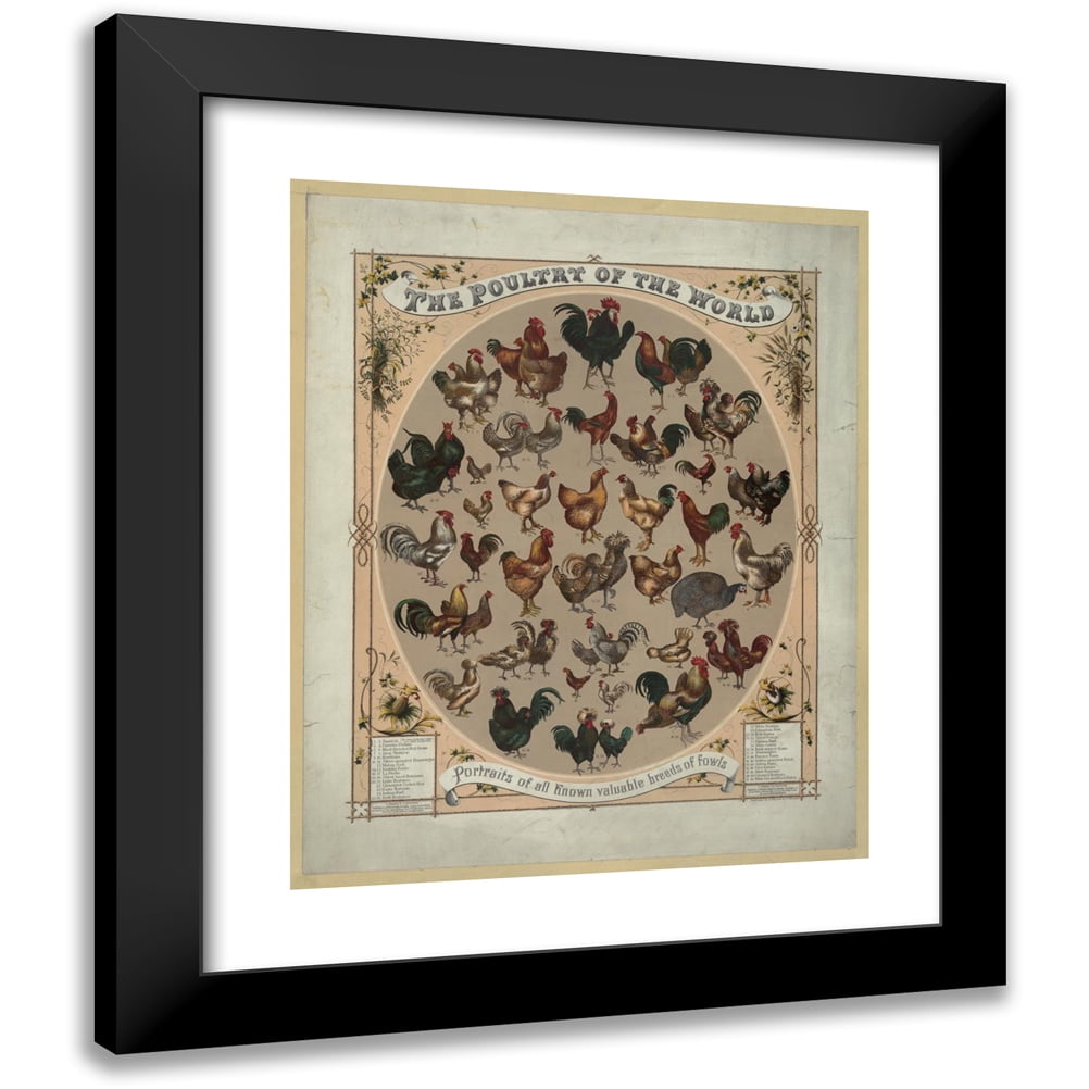 Louis Prang 15x18 Black Modern Framed Museum Art Print Titled - The ...
