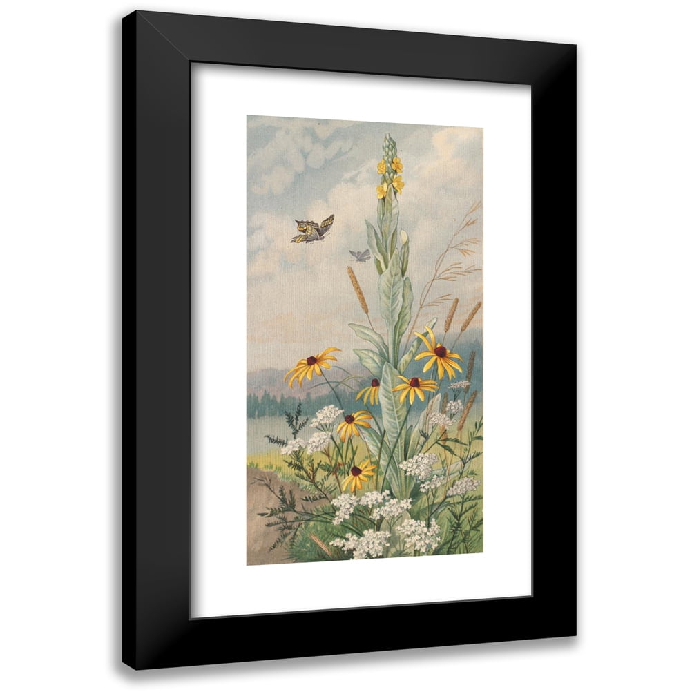 Louis Prang 9x14 Black Modern Framed Museum Art Print Titled - Flowers ...