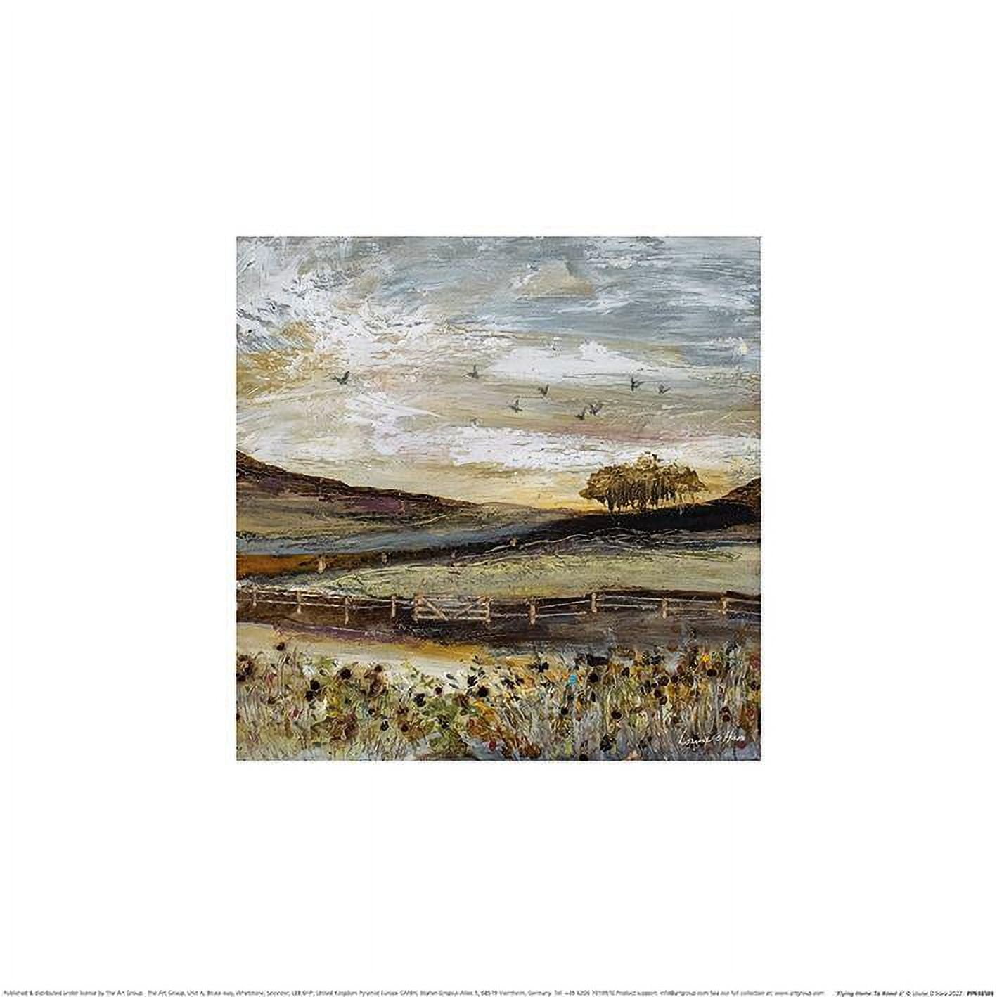 Louise O 'Hara Flying Home To Roost II Poster - Walmart.com