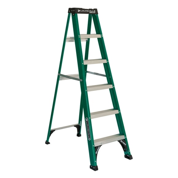 6ft Ladder