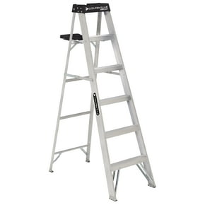 6ft Ladder