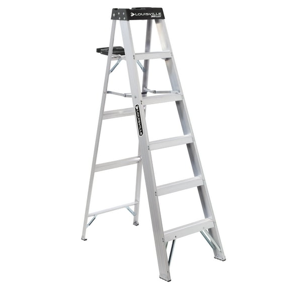 6ft Ladder