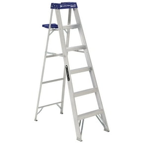 6ft Ladder