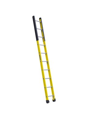 10 Foot Ladder in Ladders - Walmart.com