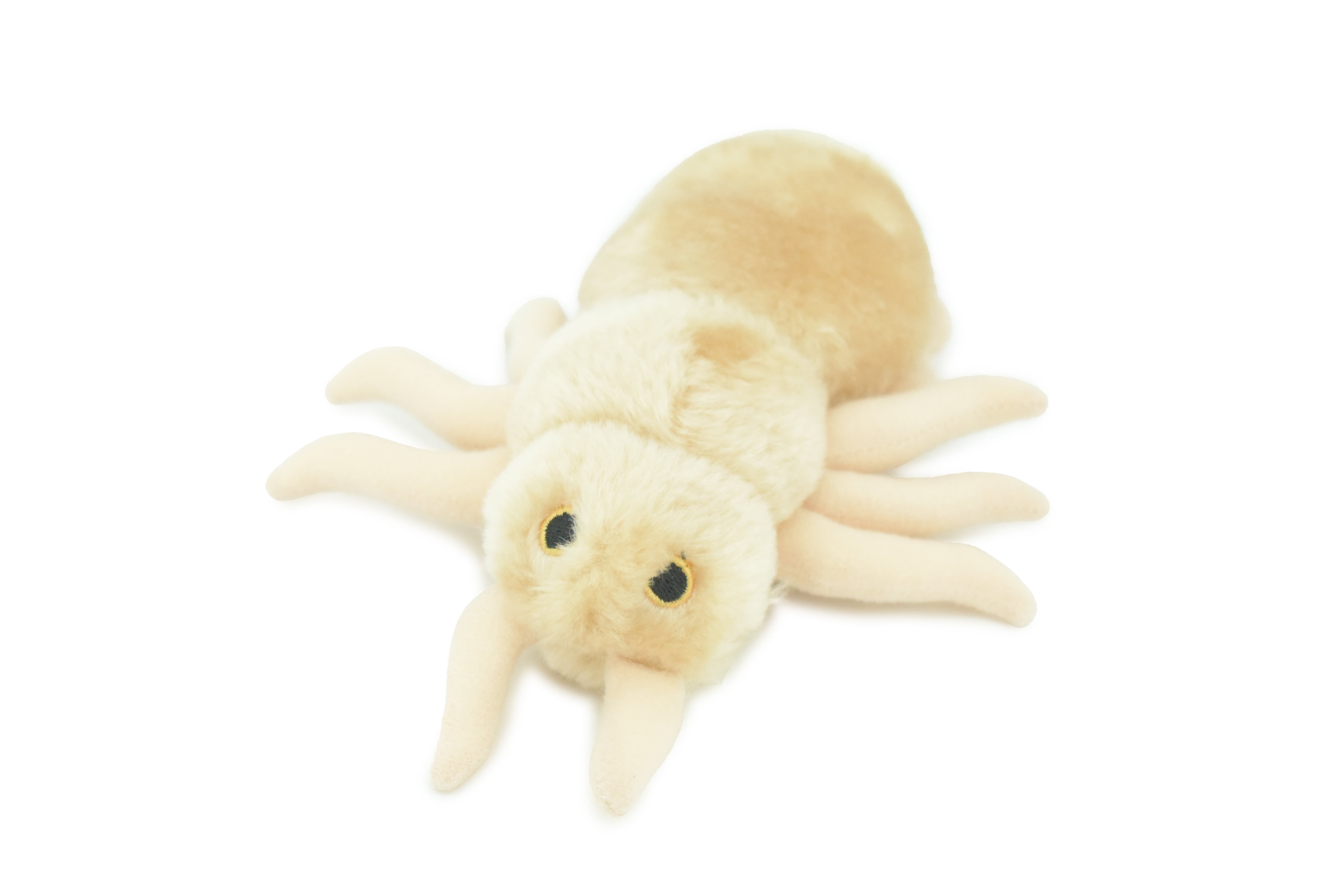Louse Plushy Toy, Stuffed Animal Head lice, Plush Insect Toy, Plush ...