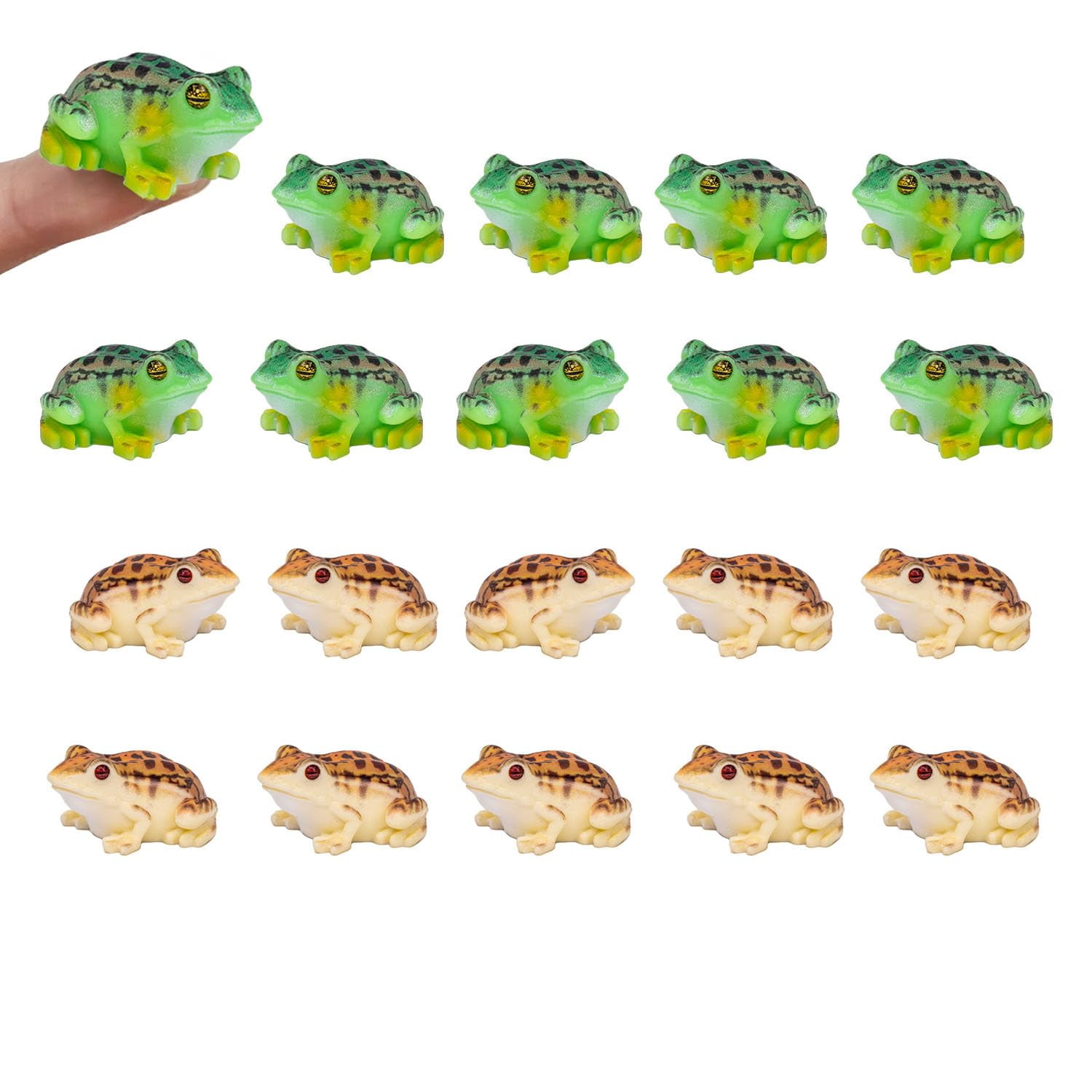Loutas bowdee 20 Pcs Realistic Mini Frogs Miniature Figurines Fairy ...