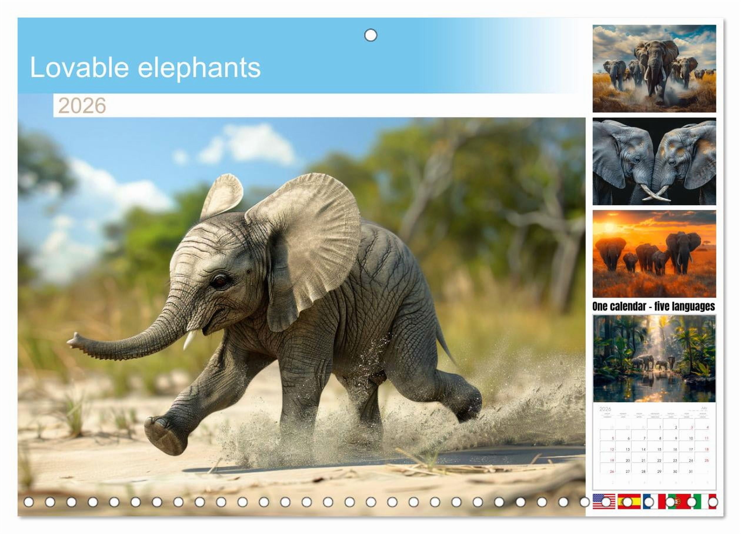 Lovable elephants (Monthly Wall Calendar 2026 11.7 x 16.5 (open ...