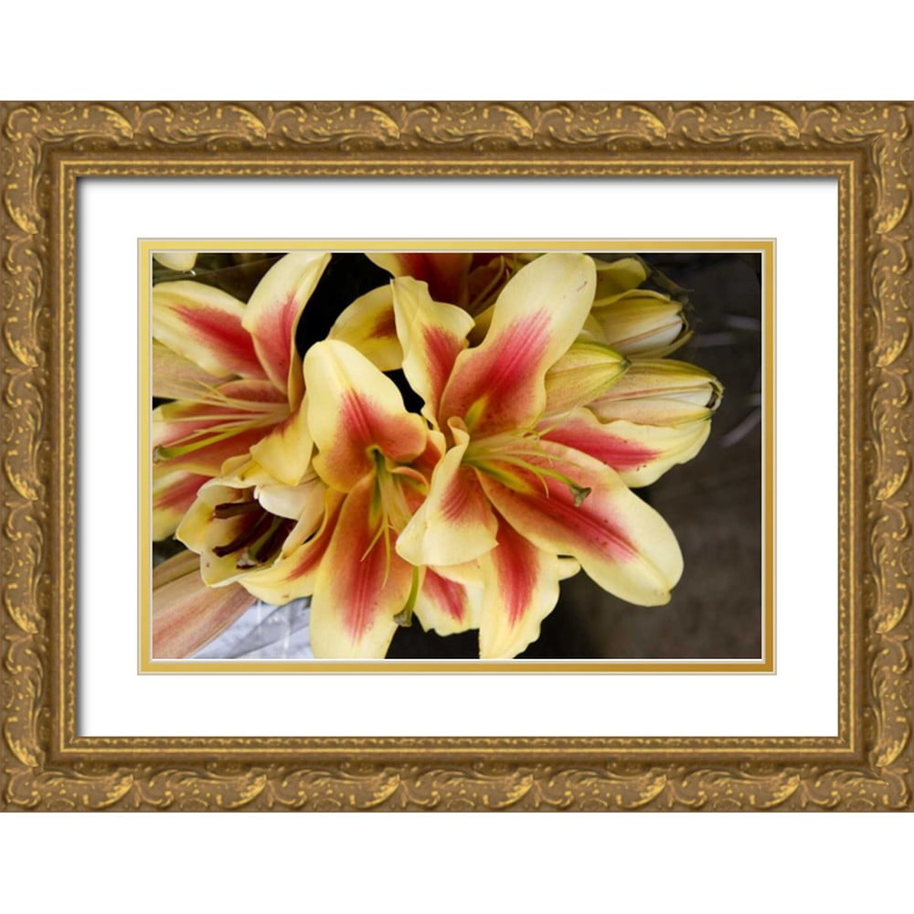 Love, Maureen 14x11 Gold Ornate Wood Framed with Double Matting Museum ...