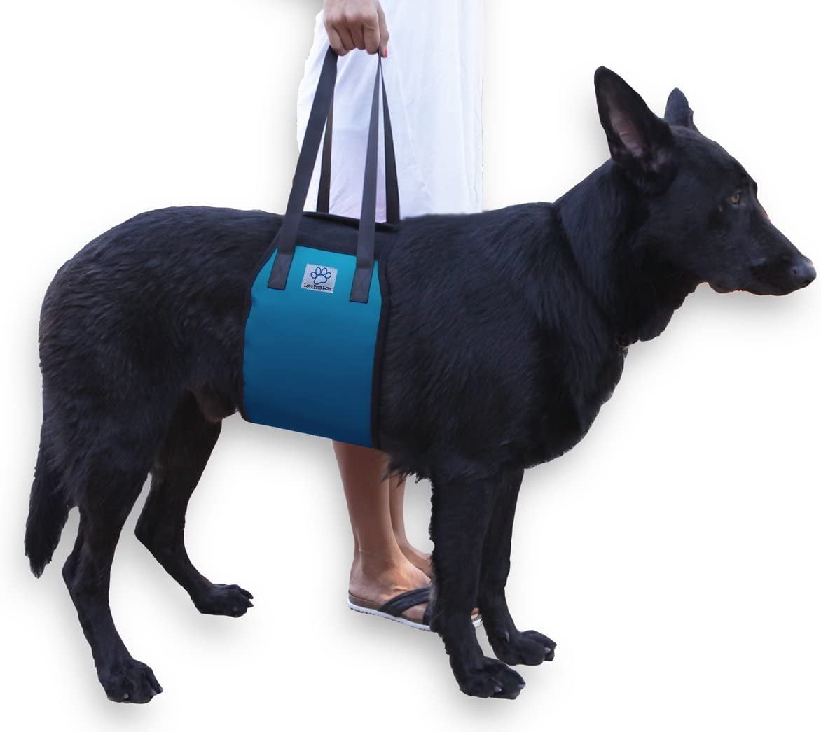 Love Pets Love Vet Approved Dog Lift Support Harness Canine aid ...