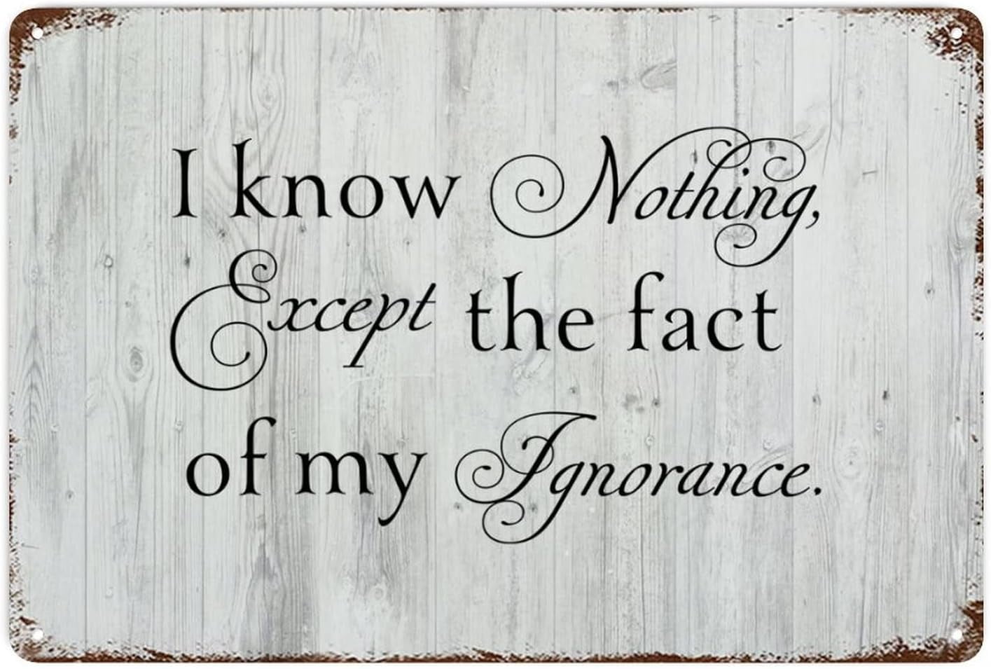 Love Quote Rustic Metal Sign Wall Art Decor I Know Nothing Except The ...