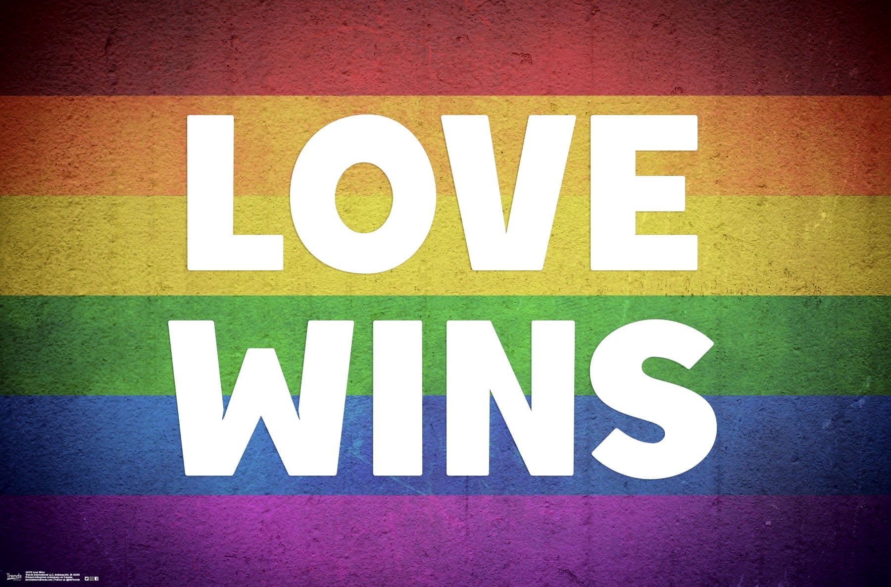 Love Wins Wall Poster, 22.375" x 34" - Walmart.com