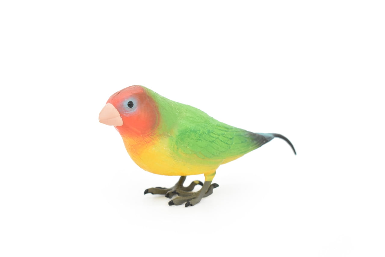 Lovebird Toy, Parrot, Bird, Very Realistic Rubber Figure, Model ...