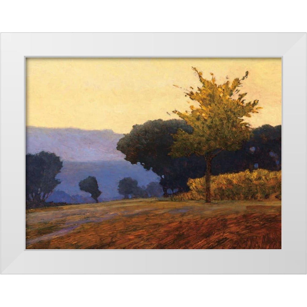 Lovelace, Kent 18x15 White Modern Wood Framed Museum Art Print Titled ...