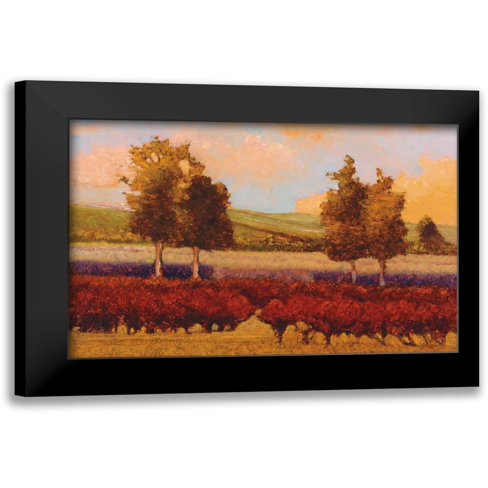 Lovelace, Kent 24x17 Black Modern Framed Museum Art Print Titled - St ...