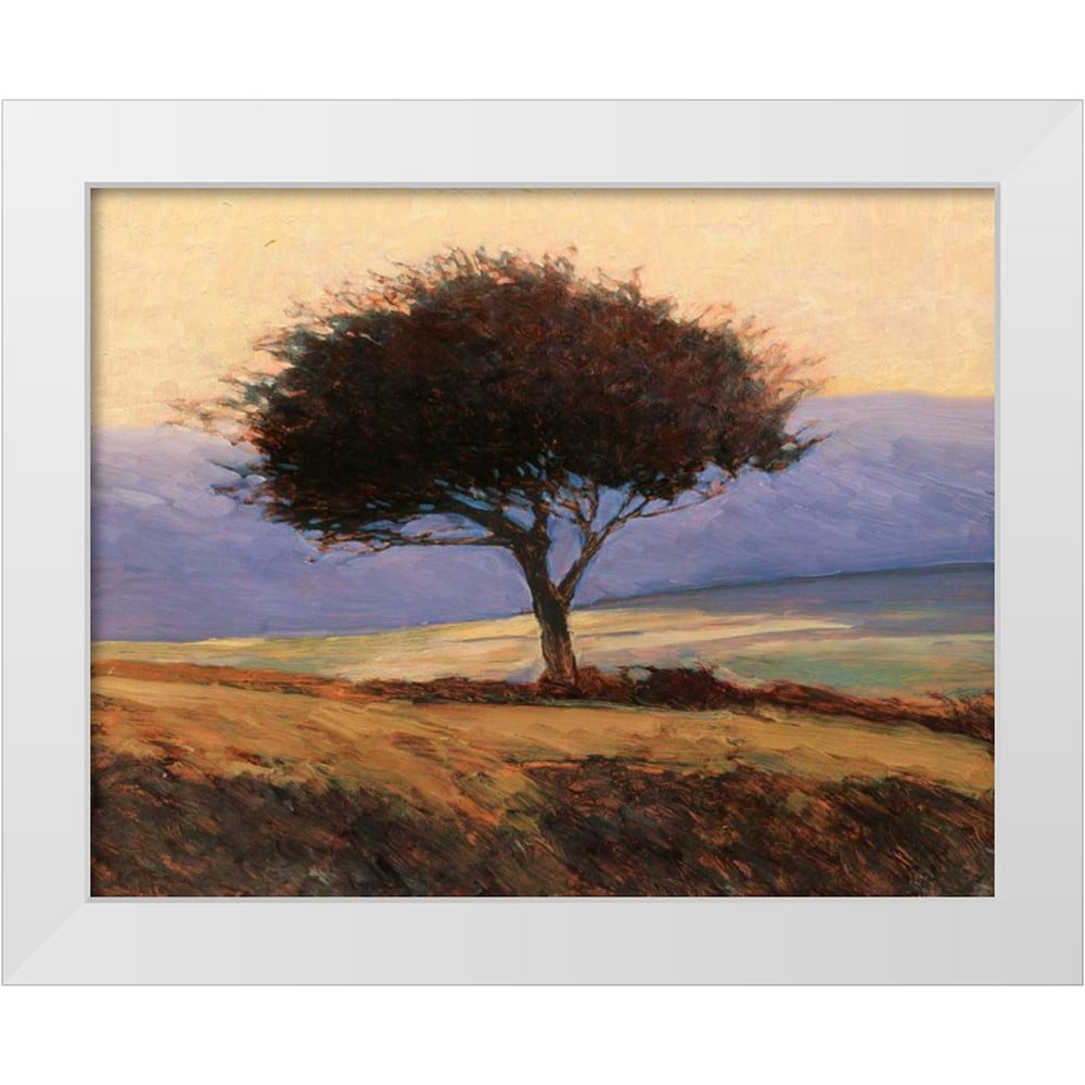 Lovelace, Kent 24x20 White Modern Wood Framed Museum Art Print Titled ...