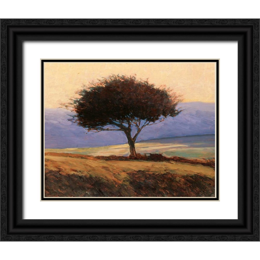Lovelace, Kent 32x26 Black Ornate Wood Framed with Double Matting ...