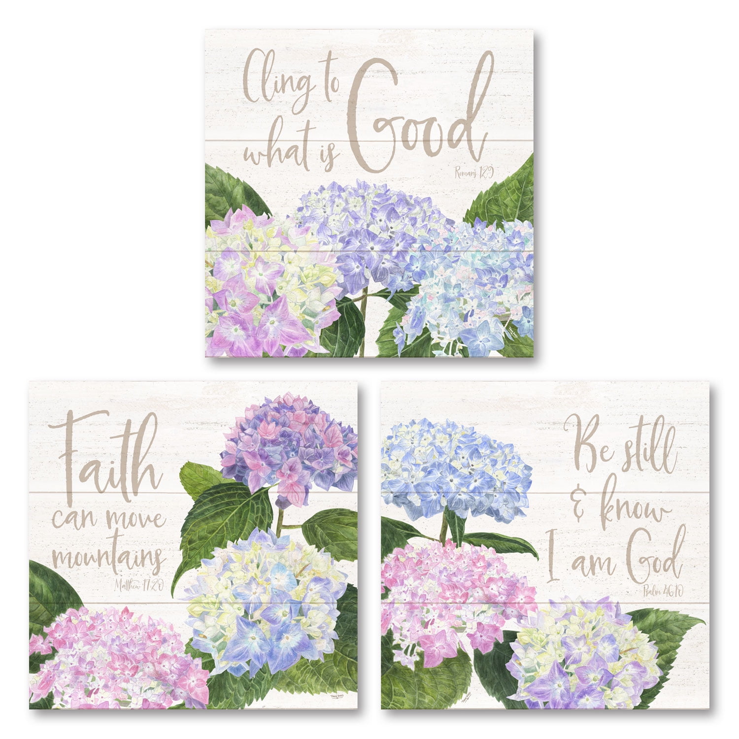 Lovely Hydrangea "Be Still & Know I Am God," "Cling To What Is Good ...