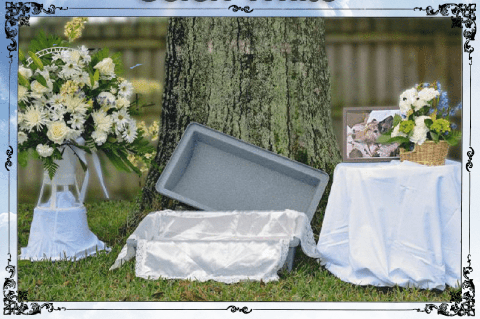 Loving Touch Extra Large Ultra Strong and Safe Pet Casket for Dogs ...