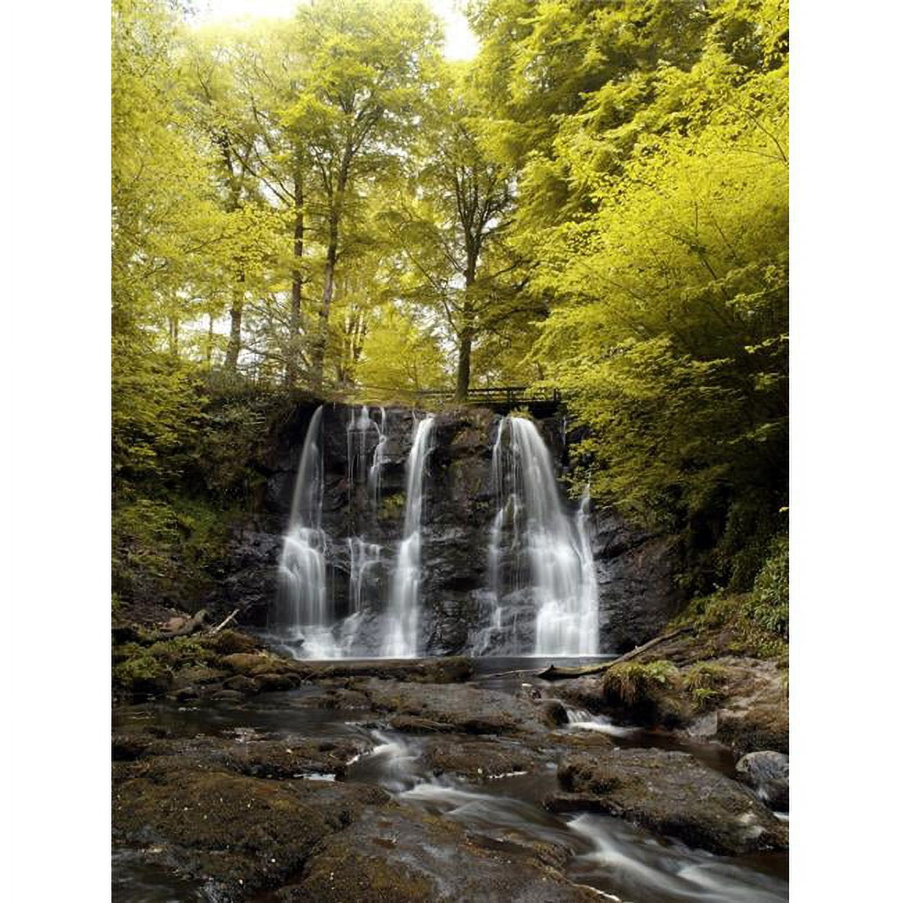 Low Angle View of A Waterfall in a Forest Glenariff Waterfall County ...
