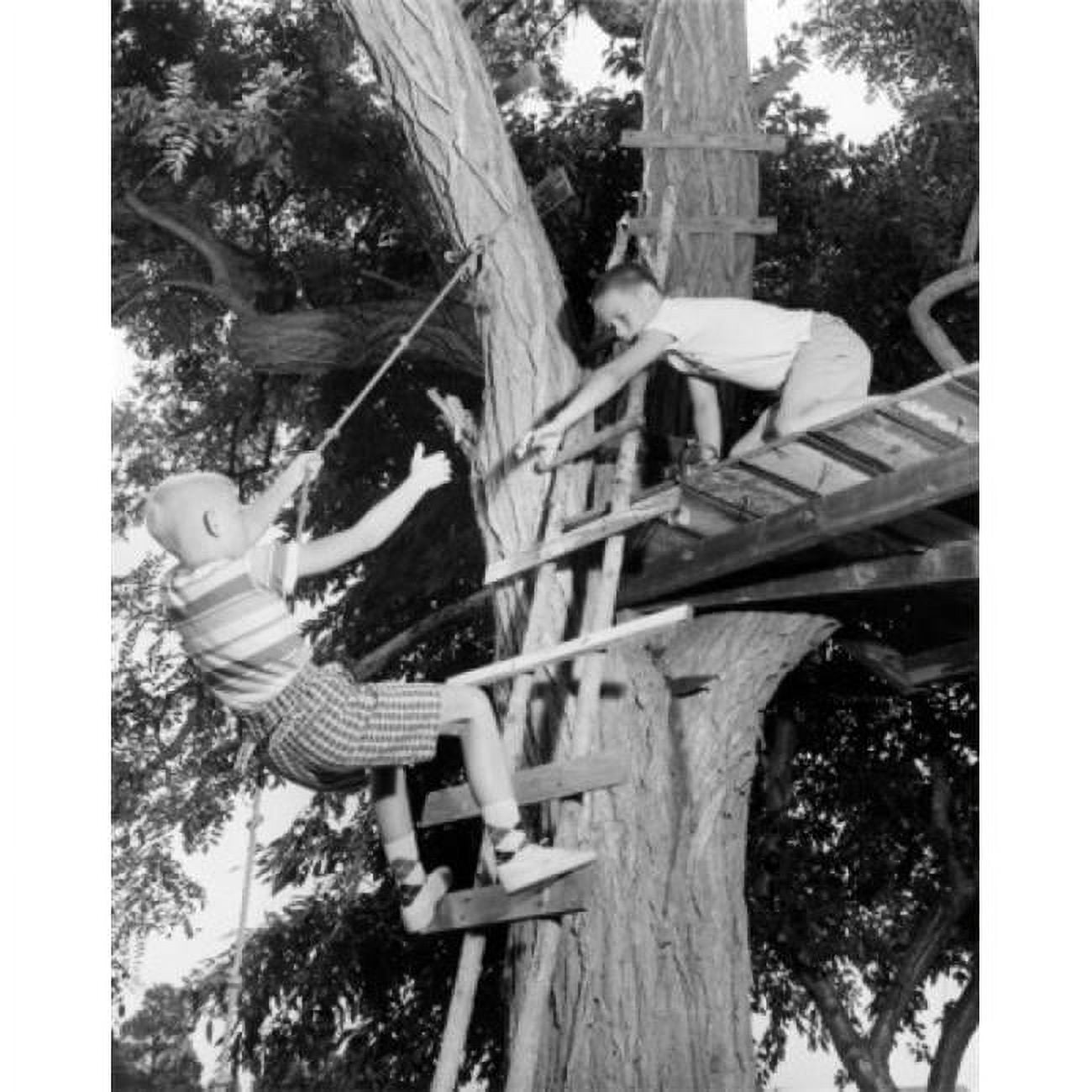 Low Angle View of Two Boys Playing in a Tree House Poster Print - 18 x ...