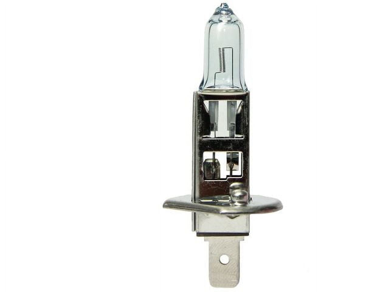 Low Beam Headlight Bulb - Compatible with 1998 - 2007 LX470 1999 2000 ...