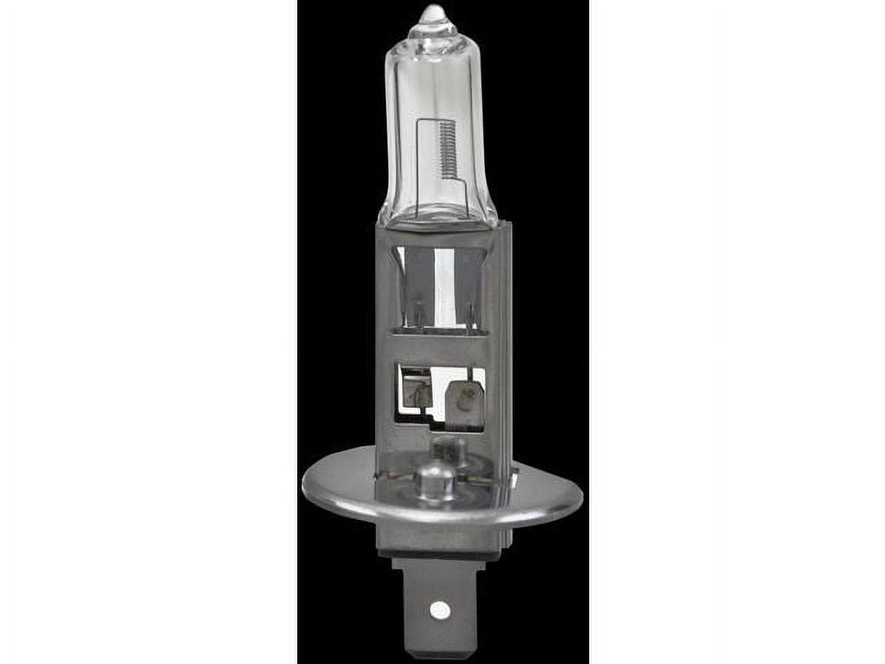 2005 Nissan Altima Headlight Bulb