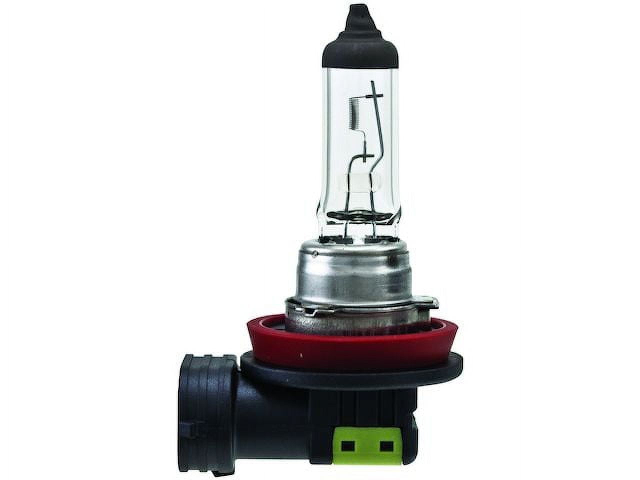 HELLA B0151-S818735 White LED Automotive Light Bulb fits Nissan Altima ...