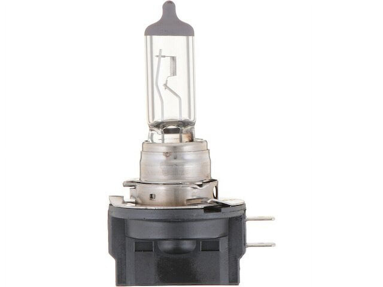 Philips Halogen Automotive Bulb fits Kia Forte - Walmart.com