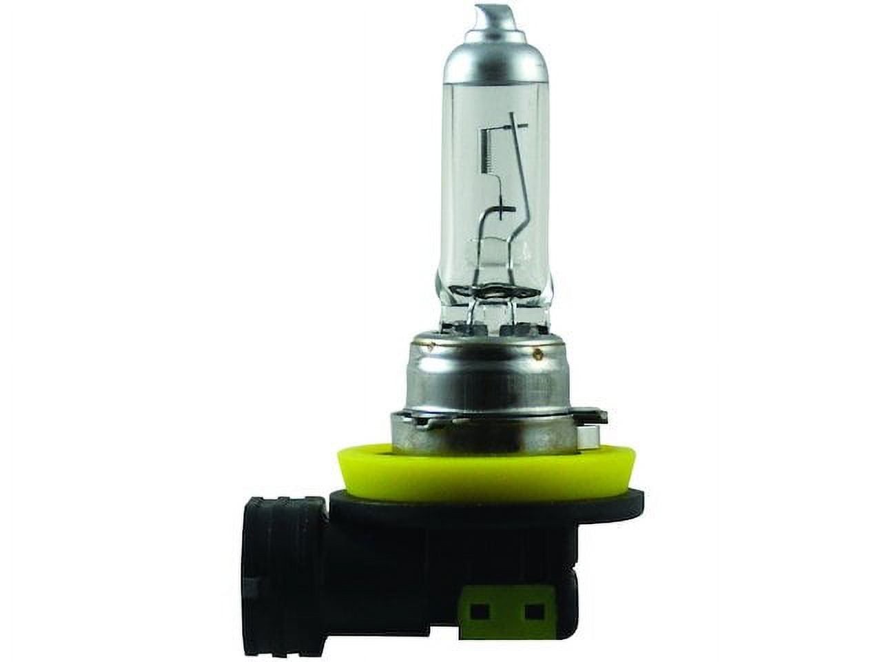 Low Beam Headlight Bulb - Compatible with 2010 - 2017 Chevy Equinox ...