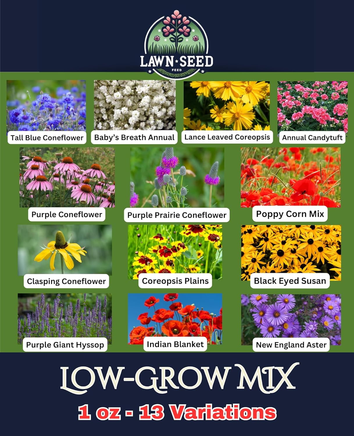 Low Growing Wildflower Mix (1oz) Sprinkle a Little Magic—Our Shade ...