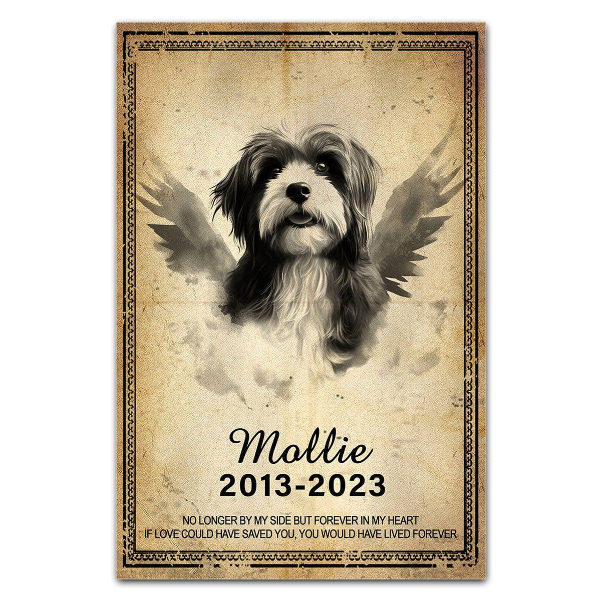 Lowchen Dog Memorial Poster/Framed Canvas Prints, Personalized with ...