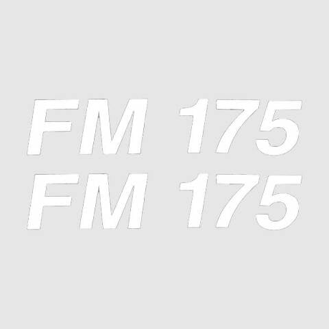 Lowe Boat Logo Decal 1848721 | 175 FM White 6 3/8 x 1 1/4 Inch (Pair ...