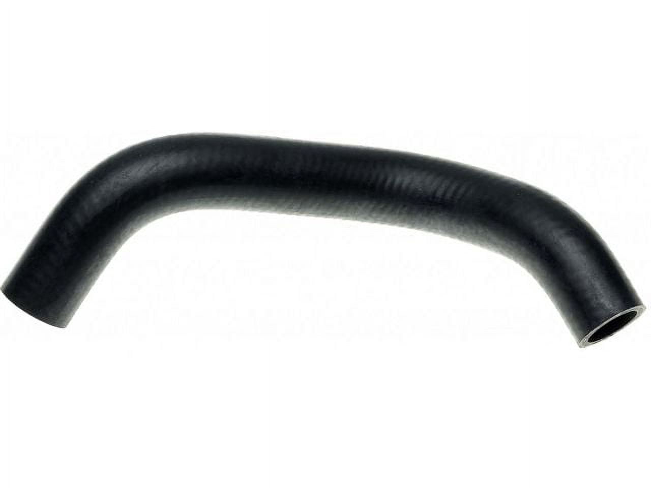 Lower - Line To Engine Radiator Hose - Compatible with 2003 - 2005 ...