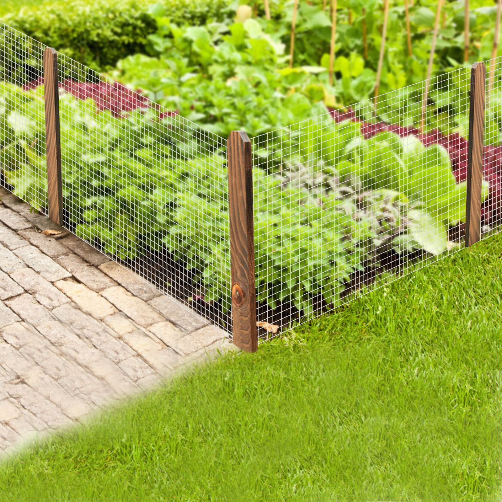 Loyalheartdy 48" x 100ft 1/2 inch Chicken Wire Welded Fence Poultry ...
