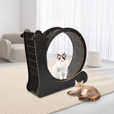Pefilos 36" Cat Exercise Wheel for Indoor Cats, Cat Running Wheel with ...