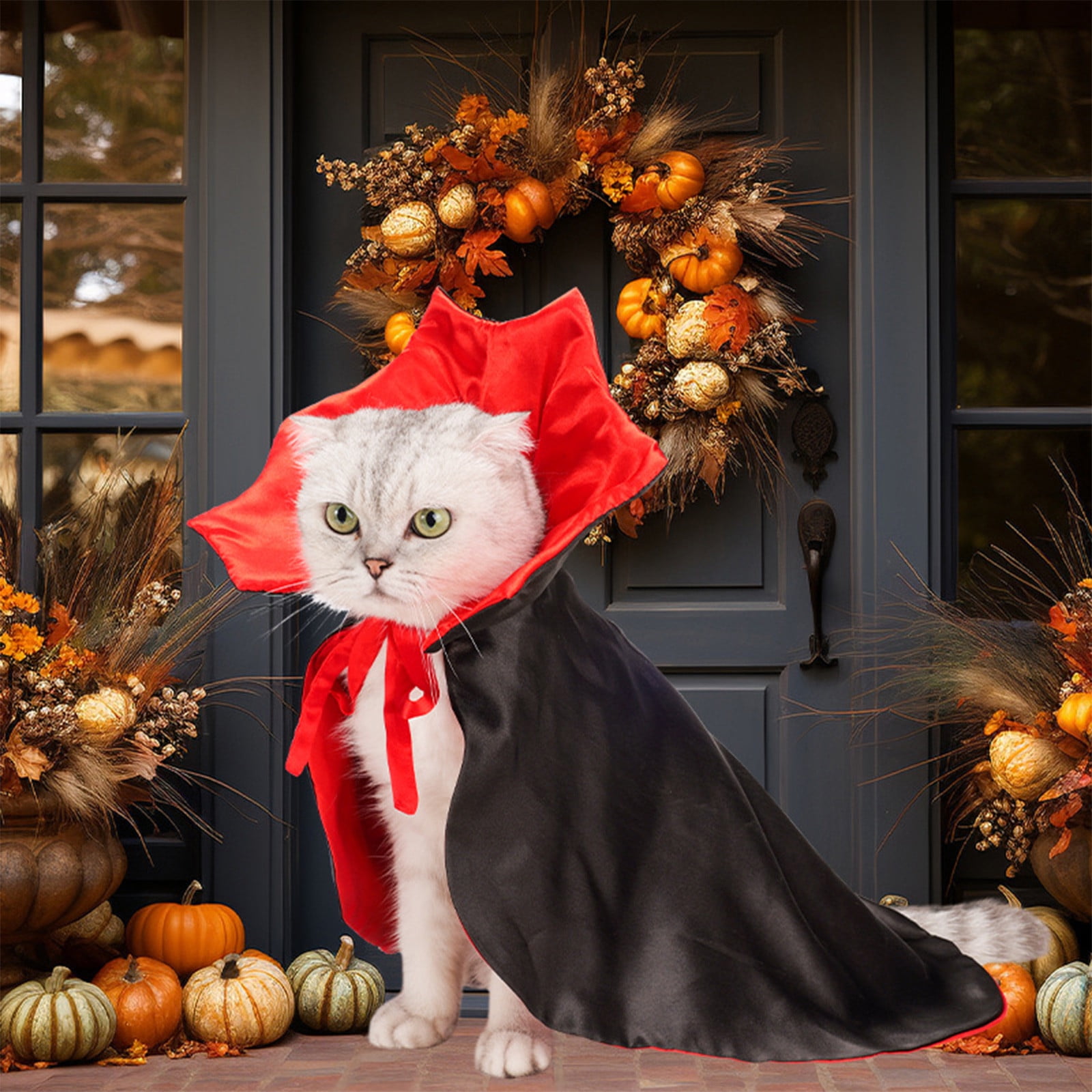 Loyerfyivos Halloween Pet Cape - Vampire Cloak and Wizard Outfit for ...