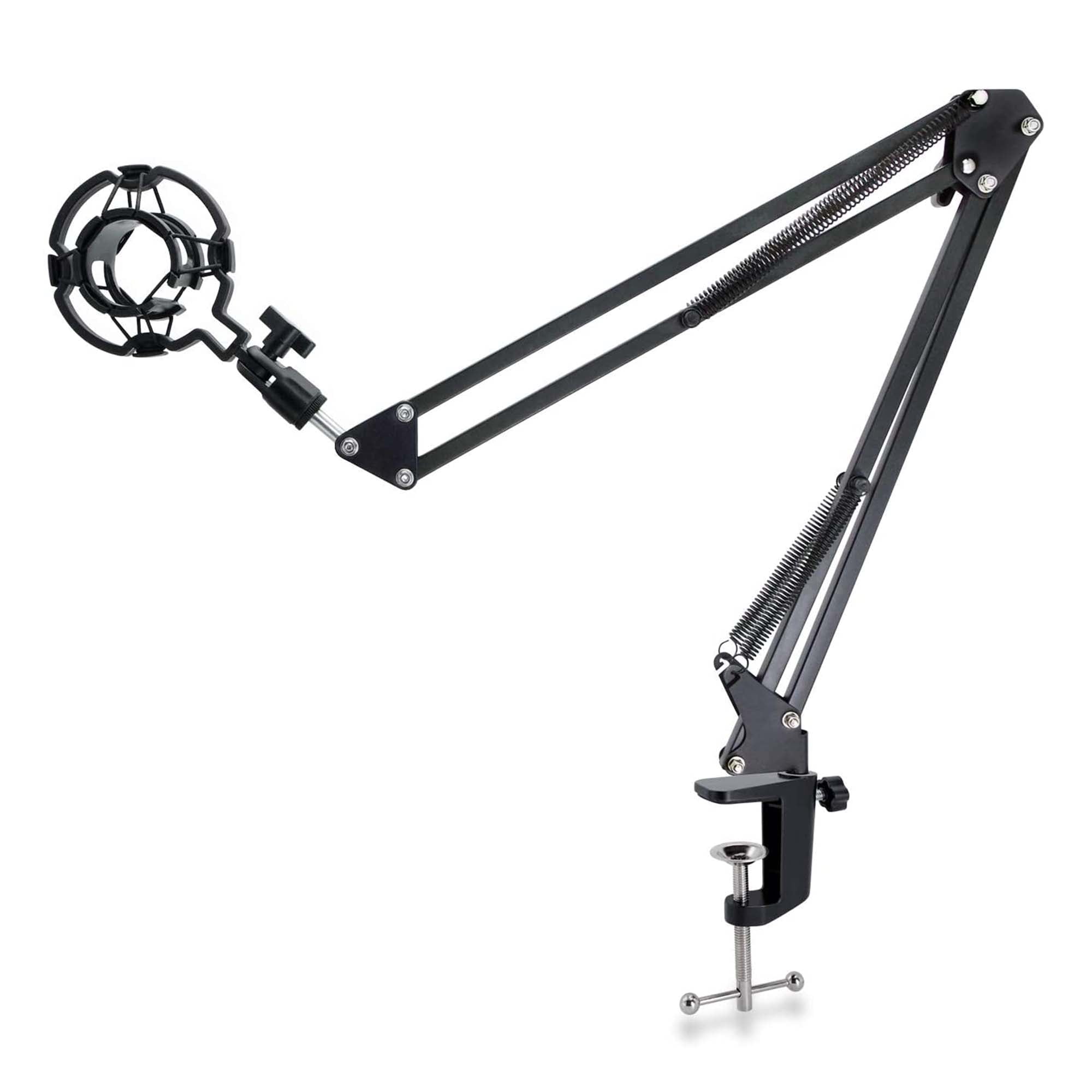 Lroom Microphone Boom Arm Stand with Clip, Shock Mount, Livestream ...